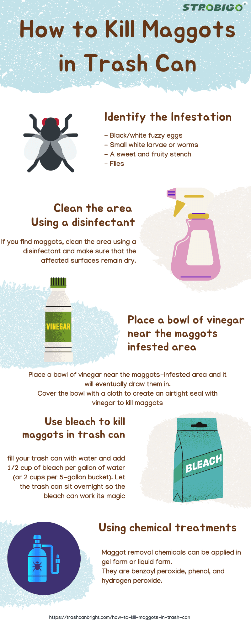 How to Kill Maggots in Trash Can – STROBIGO